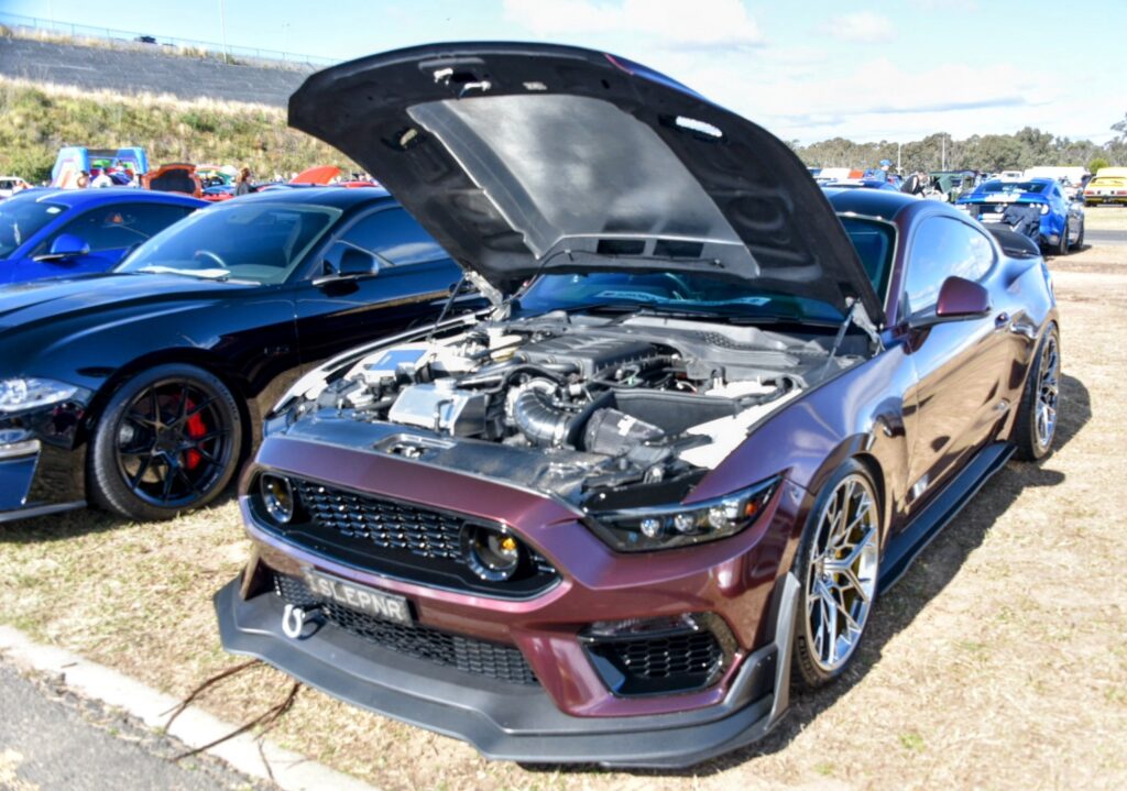 All Ford Day 2025 – Photos by Terry Appleby – Mustang Owners Club ...