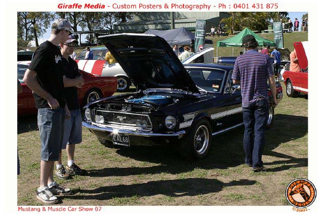QLD Mustang Concourse – Photos by Giraffe Media – Mustang Owners Club ...