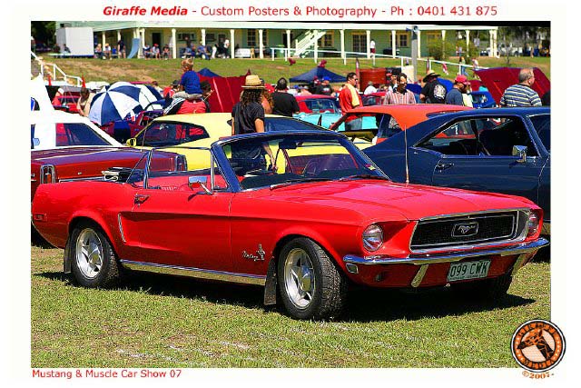 QLD Mustang Concourse – Photos by Giraffe Media – Mustang Owners Club ...