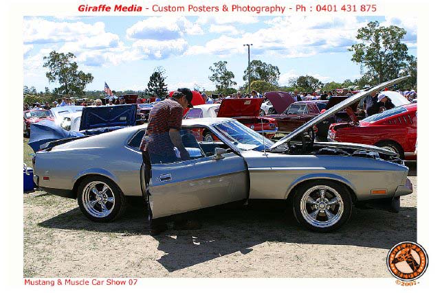 QLD Mustang Concourse – Photos by Giraffe Media – Mustang Owners Club ...