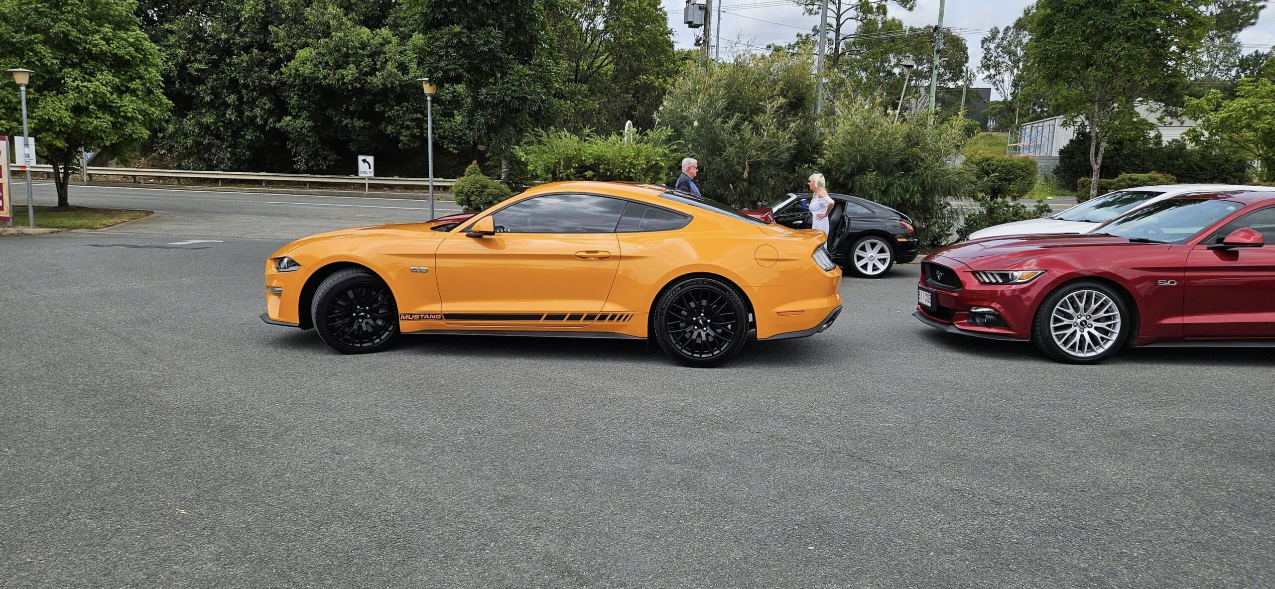 February Club Run To Mt Tamborine (Photos from Marice Saunders ...