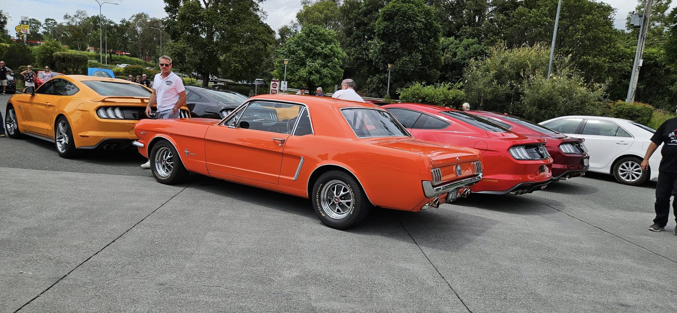 February Club Run To Mt Tamborine (Photos from Marice Saunders ...