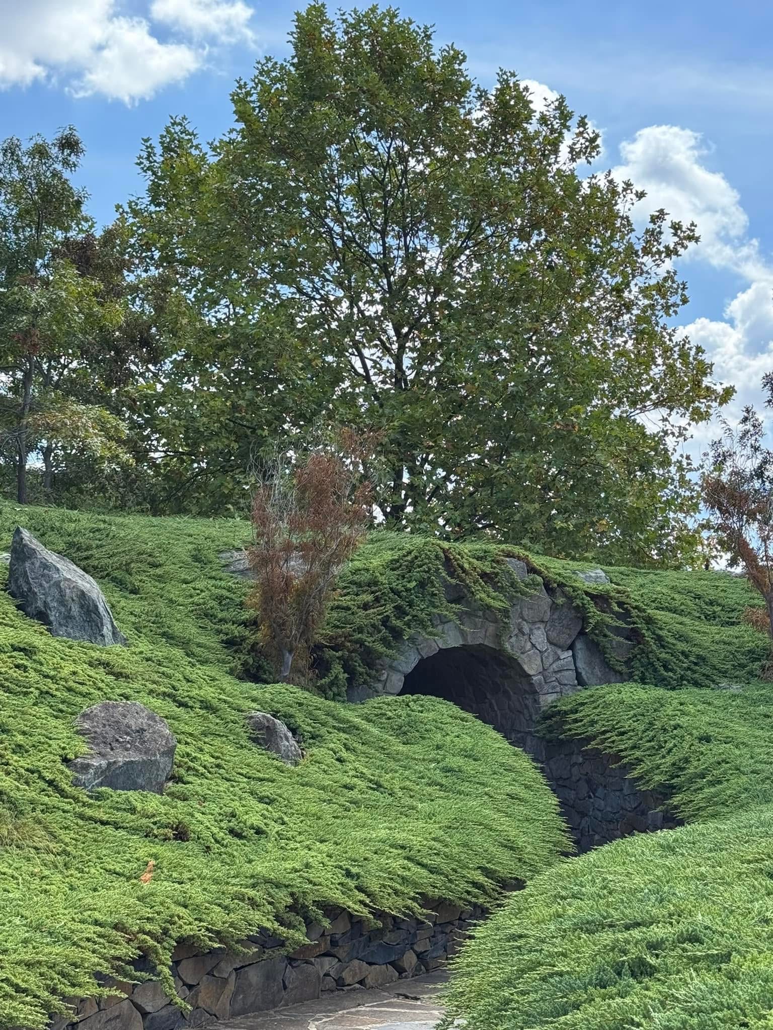 2025 MOCA NATIONALS – Mustang Owners Club Australia – Queensland Branch