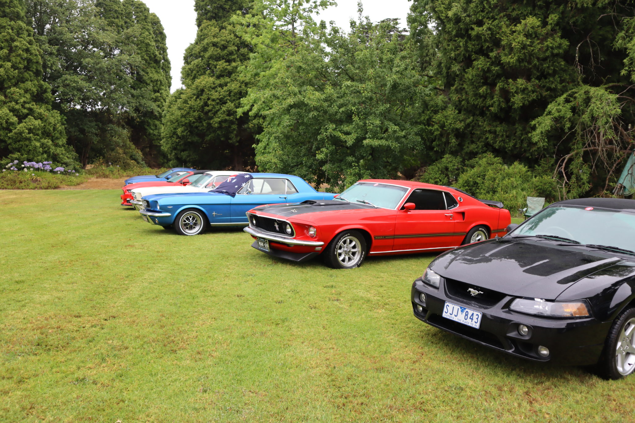 MOCA Vic Australia Day Claytons Concourse – Mustang Owners Club ...