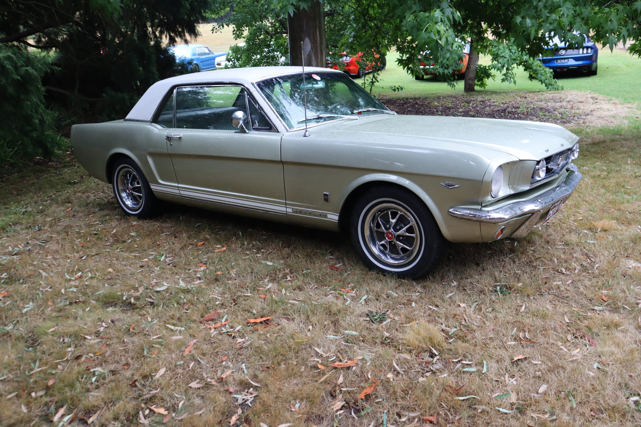MOCA Vic Australia Day Claytons Concourse – Mustang Owners Club ...