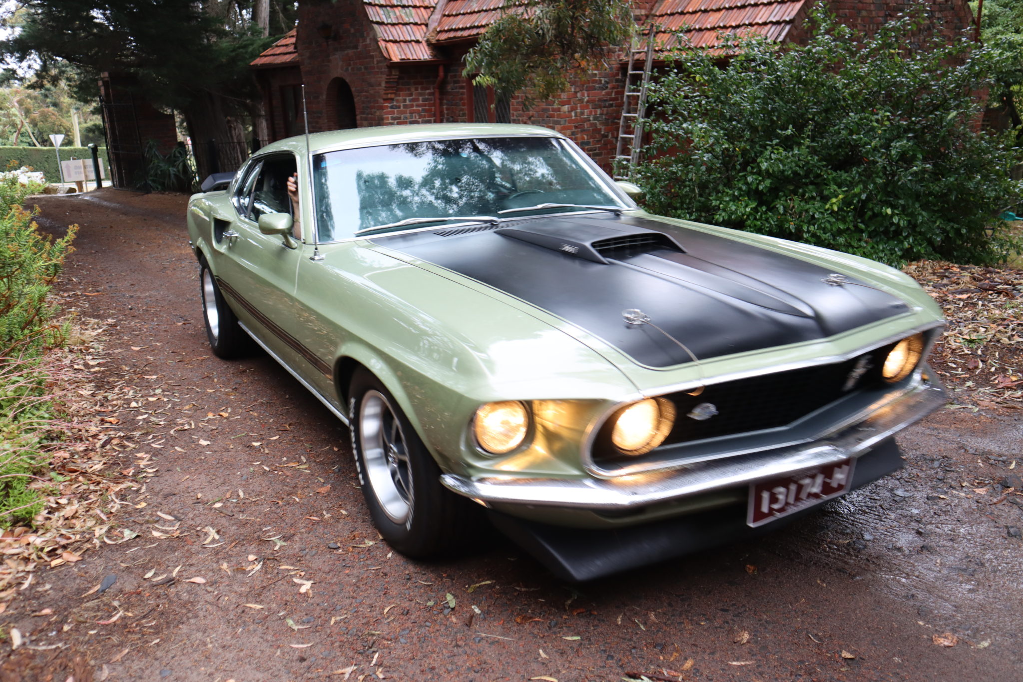 MOCA Vic Australia Day Claytons Concourse – Mustang Owners Club ...