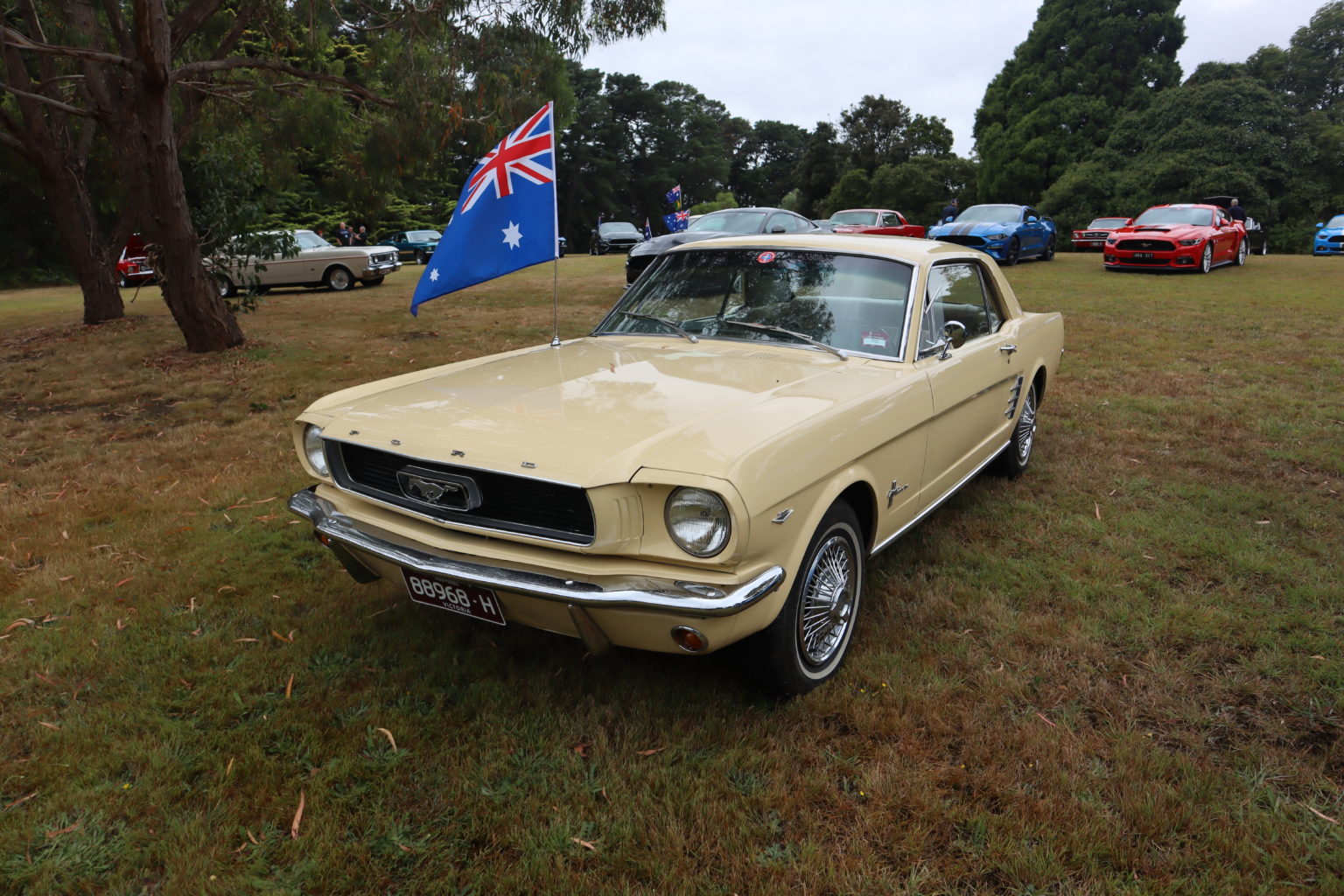 MOCA Vic Australia Day Claytons Concourse – Mustang Owners Club ...