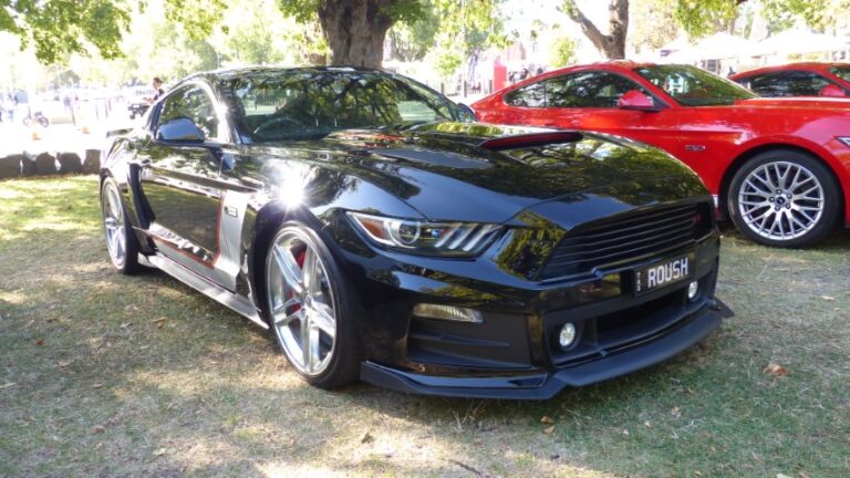 MOCA Vic Thoroughbreds in Tassie 2024 – Mustang Owners Club Australia ...
